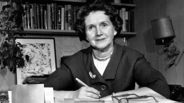 Rachel Carson: Women in Science Pioneer